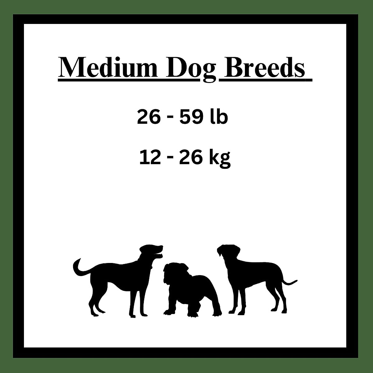 AccessiPets Dog Chew Bundles for Small & Medium Dogs, Rawhide Free Alternative 5 in Retriever Sticks Bundle with 1 Dog Waste Roll, Dental Rolls for Moderate Chewers (Peanut Butter, 10 Count)