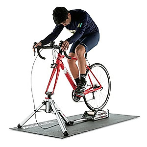 Minoura FG542 LiveRide Hybrid Bicycle Roller, Silver, Standard