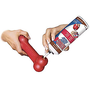 KONG - Goodie Bone and Flyer - Durable Rubber Chew Bone and Flying Disc - for Medium/Large Dogs