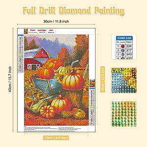 NAIMOER Pumpkin Diamond Art Kits for Adults, Full Drill Fall Pumpkin Harvest Diamond Art Kits, DIY 5D Autumn Diamond Art Landscape Diamond Art Kits Craft for Home Wall Decor 30x40cm