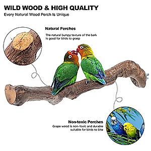 COUNER Bird Parrot Perch Stand Natural Wild Grape Stick Bird Play Stand Bird Toys Grinding Paw Cage Accessories for Cockatiels Budgie Parakeets Conures Love Birds Finches