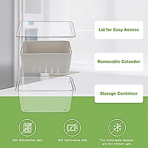 Puricon (2 Pack) Fresh Food Containers for Fridge, Fruit Storage Vegetable Keeper Produce Saver with Colander & Lid, Stackable Refrigerator Organizers for Salad Berry Lettuce, BPA Free -Small