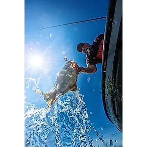 Rapala Dives-To 06 Fishing lure, 2-Inch, Baby Bass