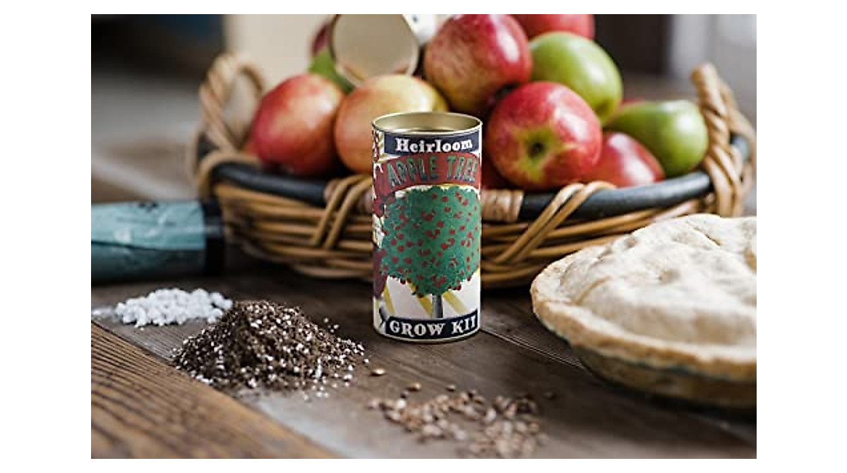 Grow Your Own Apple Tree | Jonsteen Seed Kit
