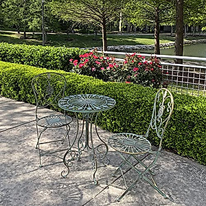 Westcharm Folding Metal Bistro Outdoor Chair for Outside Patio with Peacock Tail Motif, Set of 2