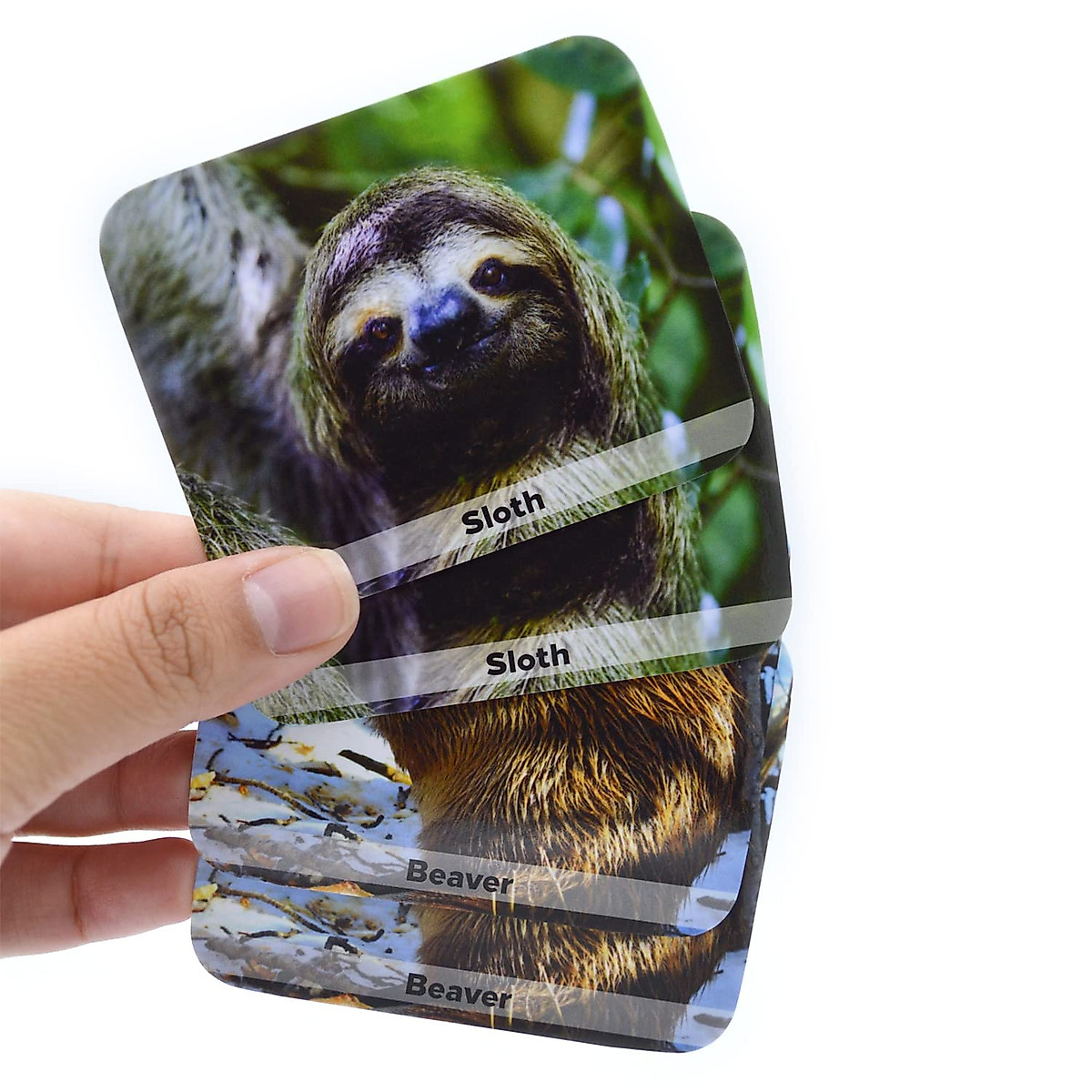 Menique, Wild Animals, Memory Matching Game