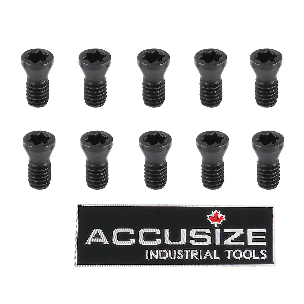 Accusize Industrial Tools M2.5 by 6 Replacement Screws for Indexable Face Mill and End Mills, 10 Pc, 0046-0910x10