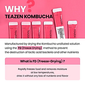 TEAZEN Kombucha 4 Flavors 40 Sticks Variety Pack, Kombucha Lemon, Peach, Berry Citron (40 Sticks)