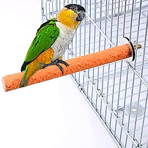 10 Pack Bird Perch, Bird Stand Set Bird Cage Accessories Natural Wood Toy Perch Parrot Toys Natural Branch Standing Stick for Budgies Love Birds Finches Small and Medium-Sized Bird Toys