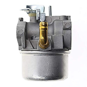 Carbhub 591925 Carburetor for Briggs and Stratton 698479 693518 698475 591925 Engine Motor Powered Chipper/Shredder Craftsman Garden Tiller with Air Filter Fuel Hose Replace 591925