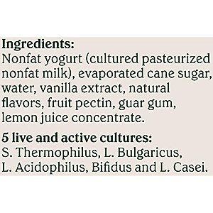 Chobani® Vanilla Blended Non-Fat Greek Yogurt 32oz