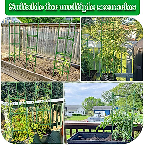 WYRJXYB Tomato Cages for Garden - Heavy Duty Steel Tomatoes Cage 3 Packs Tall Up to 68in & 164Ft Twist Tie -Tomato Plant Stakes Support Cages Trellis for Garden Pots Vegetable Climbing Plants Outdoor