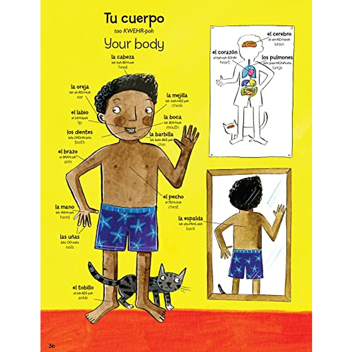 My First 1000 Spanish Words, New Edition: A Search-and-Find Book (Happy Fox Books) Seek-and-Find Adventure and Foreign Language Learning Guide - Spanish Word Association and Pronunciation for Kids 3-5