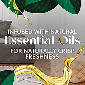 Air Wick Scented Oil Refill, 5ct, Fresh Waters, Air Freshener, Essential Oils