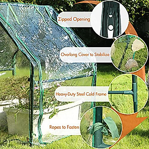 Gardzen Mini Greenhouse Heavy Duty Portable Green House, Clear Tent Indoor or Outdoor for Plants 36.2”(L) x36.2”(W) x42.5”(H)