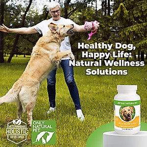 ONLY NATURAL PET Canine Bladder Control - Senior Dog Care Supplement - UTI, Urinary Tract Health, Incontinence Support w/Cranberry Extract | Pills, Vitamins, 90 Chewable Tablets (Natural Turkey)