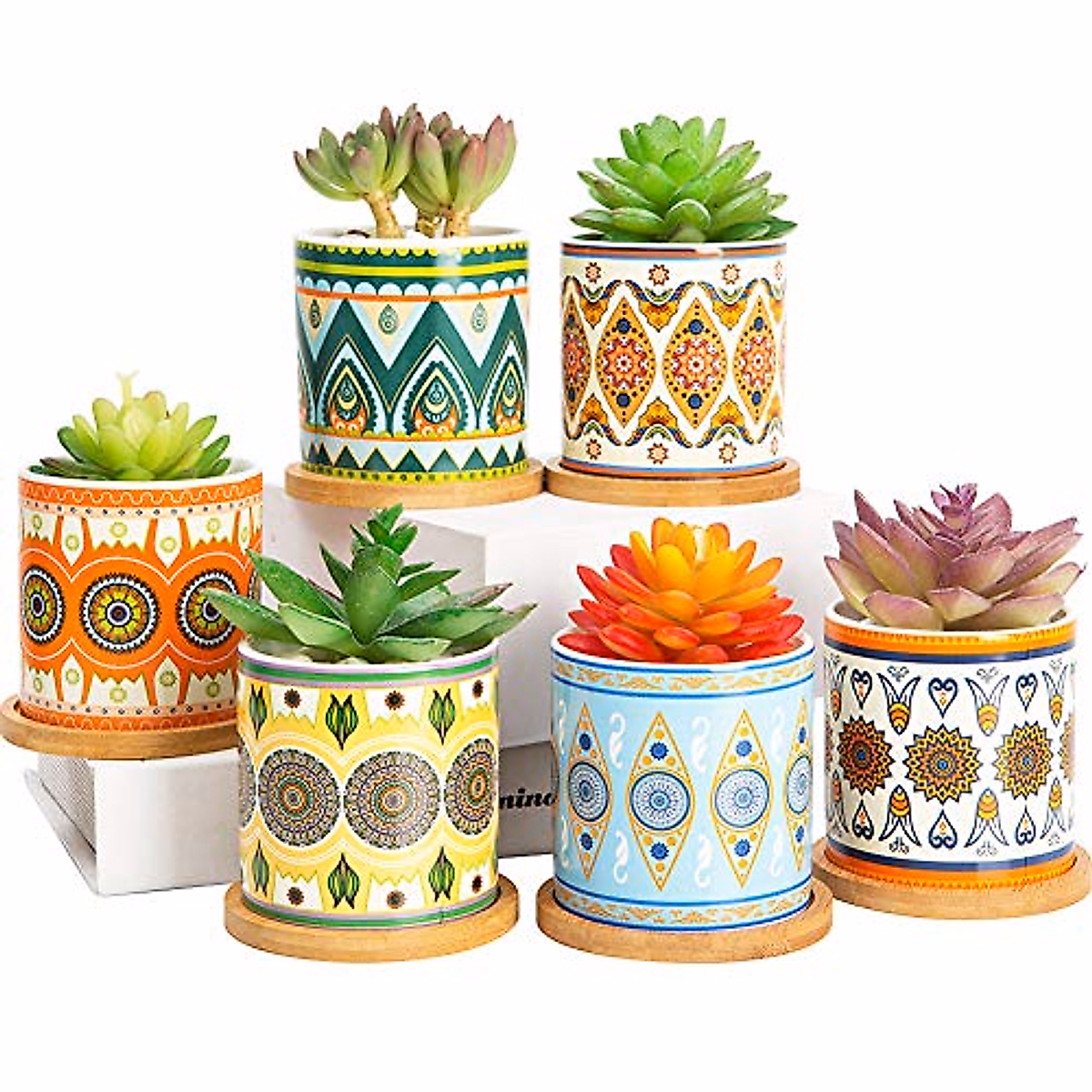 COLOAPT Succulent Plant Pots - 3.1 inch Ceramic Succulent Planter -Cylinder Flower Pots for Cactus with Drainage Hole and Bamboo Tray, 6 Pack (Multicolor1)