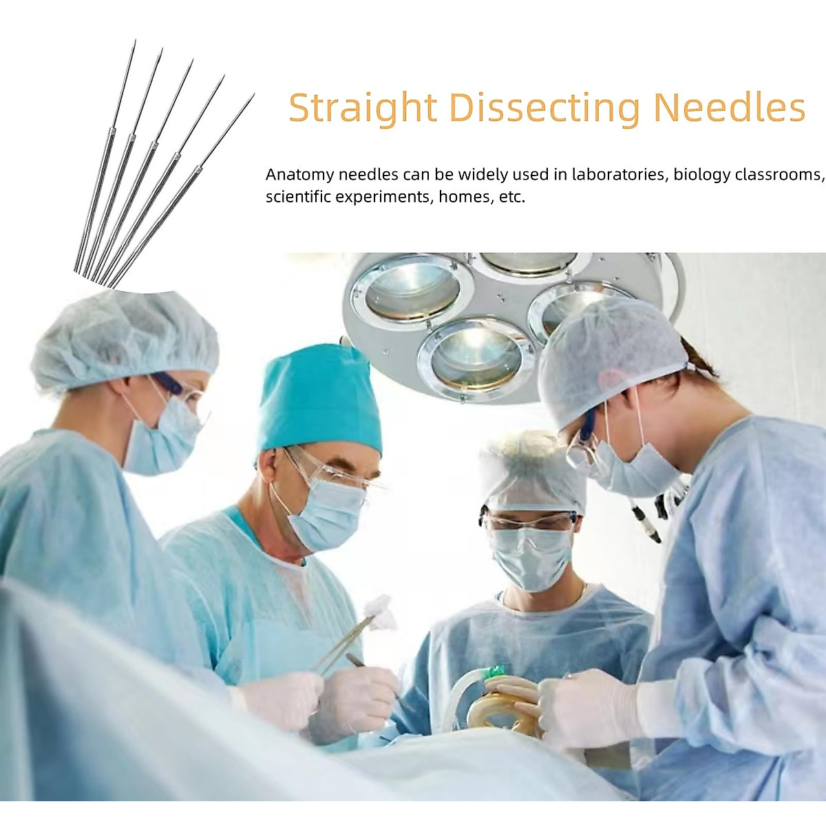 20pcs Straight Dissecting Needles, Stainless Steel Single Ended Micro Fine Precision Probe Teasing Needles Micro Fine Anatomy Pins for Students Lab Specimen Dissecting Biology Class Science Experiment