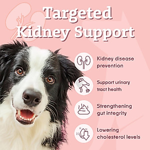 NOCK Probiotics for Dogs,Improve Kidney Function, Support Urinary Tract Health Supplement for Your Dogs Stomach, Intestine Health(220 Billion CFUs Per)