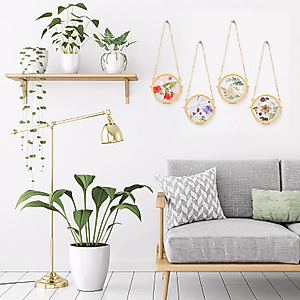 BBTO 8 Pack Round Hanging Glass Frame Small Brass Hanging Photo Frames Set Wall Mounted Gold Double Glass Display for Pressed Flowers Photos Dried Specimen DIY Artwork Display Decoration, 3.9 Inch