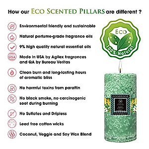 CocoSoy Scented Pillar Candles EcoAroma Natural Flower & Plant Fragrance Oils Aromatherapy & Home Scented , Organic Eco Wax 3' D x 6 " H Beautiful Marble Bamboo & Lily