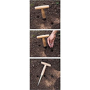 Gardtech Hand Dibber with Wooden Handle, Chrome Coated Stainless Steel Head - Lightweight Sturdy Hand Held Bulb Planter for Tulip Daffodil Crocus Garden Tool (Dibber)