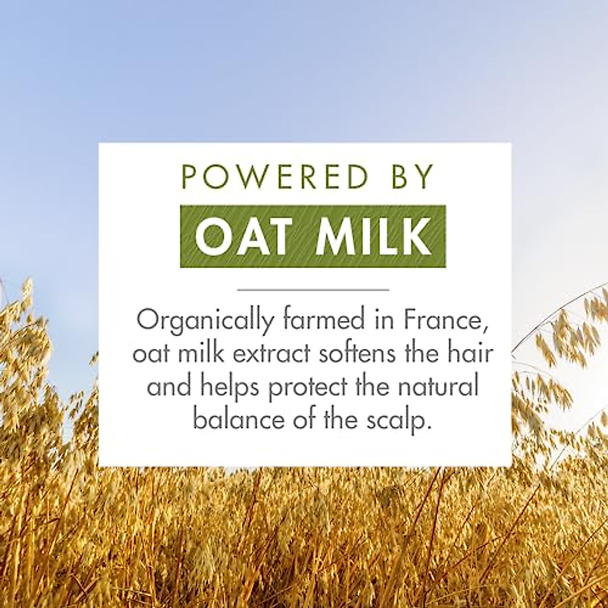 Klorane Ultra-Gentle Conditioner with Oat Milk, Sulfate-Free, Dermatologist and Pediatric Tested, Hypoallergenic, Vegan, Plant-based, Biodegradable 6.7 Fl Oz (Pack of 1)