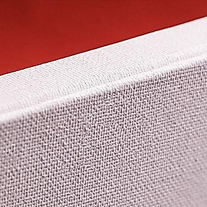 Painting Canvas Panel Boards - 10 X 12 Inch / 4 Pack - 1/8 Inch for Oil & Acrylic Paint/10 x12, 4 Pack