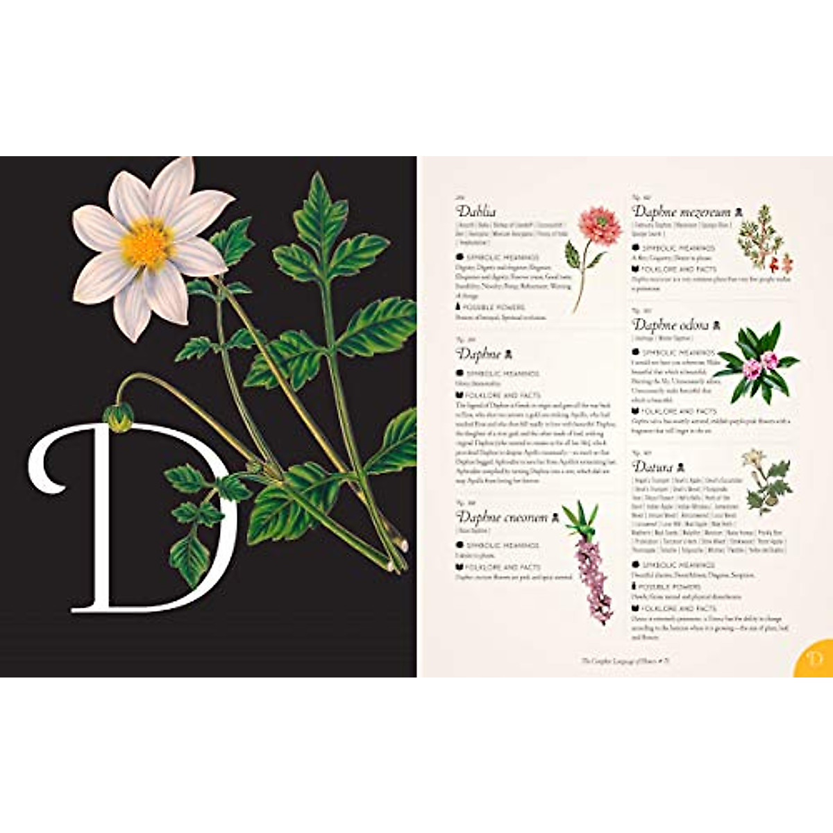 The Complete Language of Flowers: A Definitive and Illustrated History (Volume 3) (Complete Illustrated Encyclopedia, 3)