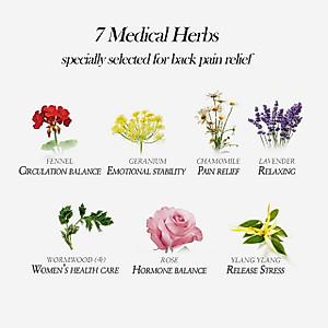 Medi Heally Herborn Heat Patches (for Waist, 8 Patches) - Back Pain Relief, 7 Medical Herbs, Wide Wings