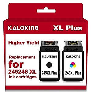 Remanufactured Ink Cartridge Replacement for Canon 245 246 XL Plus PG-245XL CL-246XL Combo Pack for Cannon PIXMA MX490 MG2522 MG2920 MG2922 TS302 (2 Pack)