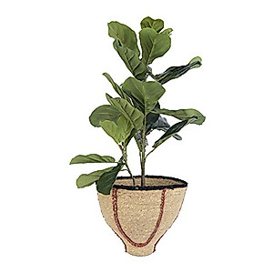 Creative Co-Op 15" & 16" Handwoven Natural Seagrass Jute Trim (Set of 2 Sizes) Baskets, Multicolor