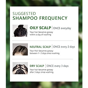 Aromase 5α Intensive Oily Hair Solution Kit (5α Juniper Scalp Purifying Liquid Shampoo 2.8 Fl Oz + 5α Intensive Oily Hair Balancing Essential Shampoo 14 Fl. Oz) for Oily Scalp, Oil Smells