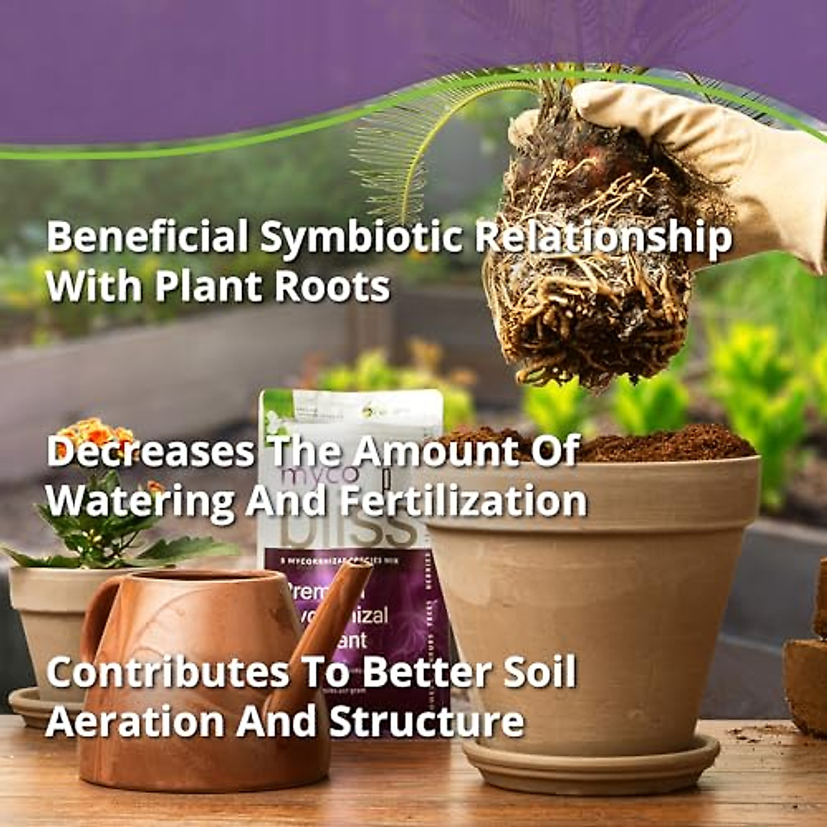 Myco Bliss Powder (2lbs) - 5 Strain Mycorrhizal Inoculant with 1,000 Propagules per Gram - Highly Concentrated Mycorrhizae for Plants, Potting Soil, Indoor Plants, Outdoor Plants, & Houseplants