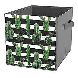 Cactus On Stripes Canvas Collapsible Storage Bins Cube Organizer Baskets with Handles for Home Office Car