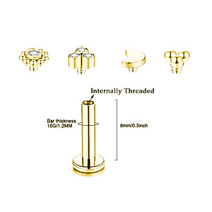 Gnoliew 16G 316L Stainless Steel Labret Monroe Lip Ring Studs Cartilage Helix Tragus Conch Daith Nose Piercing Jewelry. (A5,8mmPost)