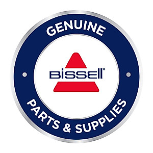 Bissell Pleated Post Motor Filter, 32076