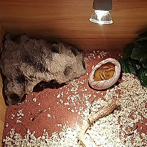 Flushbay Reptile Rock Hide Cave Resin Large Reptile Hideouts Habitat Cave Terrarium Decorations for Bearded Dragon Lizards Geckos Leopard Chameleons Frogs Turtles Snakes