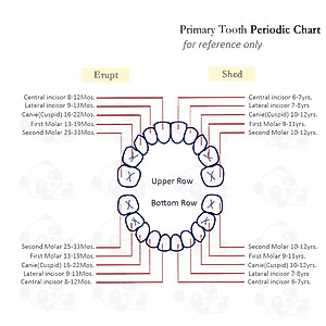 Baby Tooth Fairy Keepsake Box- First Teeth and Curl Keepsake Box | Tooth Boxes Saver & Holders for Lost Teeth Kids-Boys