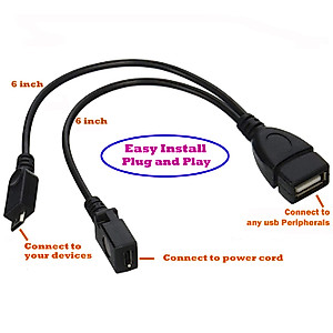 AuviPal 2-in-1 Micro USB to USB Adapter (OTG Cable + Power Cable) for Fire Stick, PlayStation Classic and More - 2 Pack