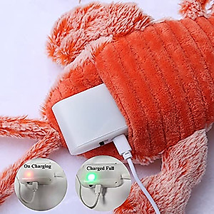 Flopping Lobster Toys for Cats & Small Dogs, Catnip Toys Kitten Toys Cat Toys for Indoor Cats, Interactive Cat Toy with Catnip, Cat Chew & Kicker Toy, USB Rechargeable, Flopping Toy for Dogs