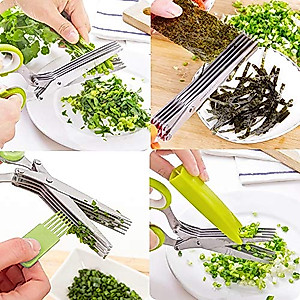BENEKIY Scissors Herb Stripper Tools Kits 5-Blades Stainless Steel Scissors with Kitchen Herb Stripping Tool, Safe Cover, Cleaning Comb Multipurpose Kitchen Chopping Shear, Mincer