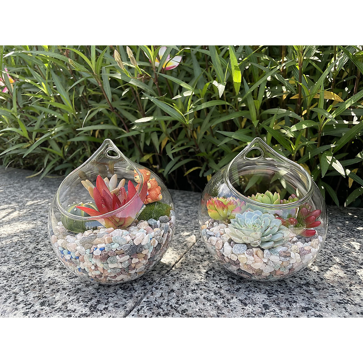 Ivolador Hanging Plants Glass Terrarium Container 4.7 Inches Air Plant Holder Succulents Globe Shape Home Garden Décor- 3 PCS