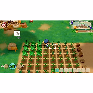 Story of Seasons: Friends of Mineral Town - PlayStation 4