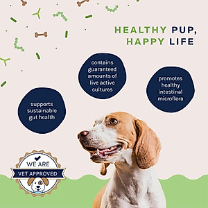 Good Trouble Pets Probiotic Supplement for Dogs - Chicken Flavor, 30 Chews - Enhanced Digestive Support