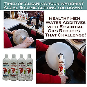 Healthy Hen Egg-Stra Eggs - Organic Chicken Water Additive with Aloe Vera, Calendula Oil, Thyme Oil, and More - 16 oz - Supports Egg Production and Immunity - All Natural - Made in the USA (1 pack)