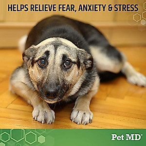 Pet MD Calming Chews for Dogs - Dog Calming Treats with Hemp & Melatonin - Calming, Anxiety Relief, & Separation Relaxant with Chamomile & L-Tryptophan - 120 CT
