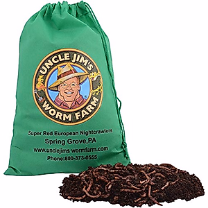Uncle Jim's Worm Farm Live Super Red European Nightcrawlers for Composting and Garden Soil Aeration | Large Live Nightcrawlers Improve Soil Structure and Quality for Healthier Gardens | 100 Count