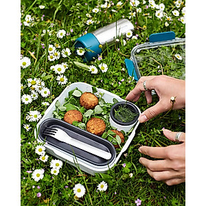 BLACK + BLUM | Bento Box Style Compartment Food Container | Packed Lunch Box with Stainless-Steel Travel Fork, BPA-Free, Leak-Proof, Microwave Safe | Ocean Blue, 1 L / 34 fl oz