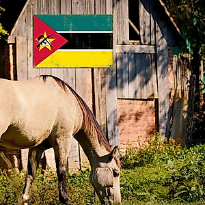 Man Cave Decor Flag Metal Sign Personalized State Metal Tin Plaque Metal Wall Plaques Funny Novelty Sign Rusty Indoor Outdoor Hanging Poster Unique Flag Design Print Art 8x12in